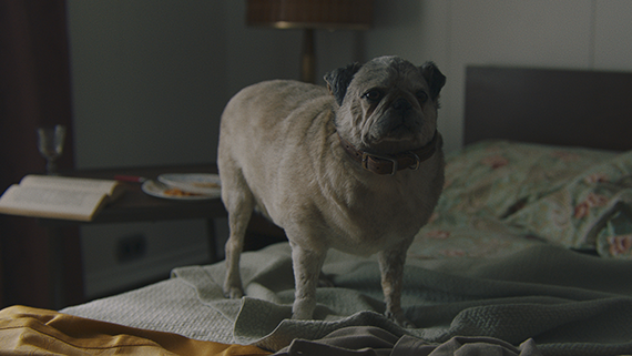 DRIVE BACK HOME - QFFM